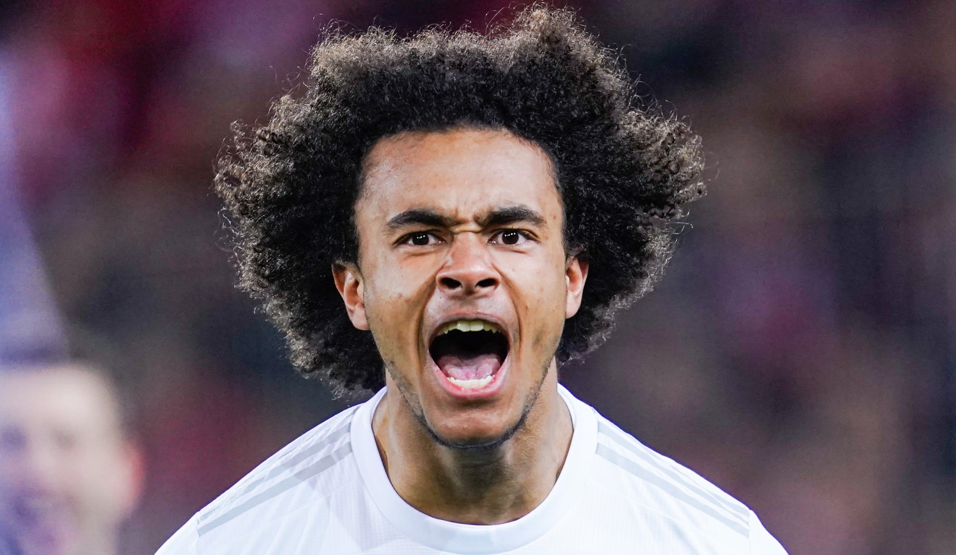 Zirkzee saiu do banco e mudou a sorte do Bayern: em sua primeira ...