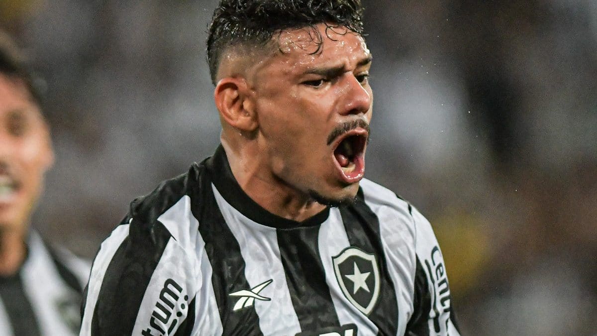 Quem são os maiores artilheiros do Botafogo no Campeonato Brasileiro?