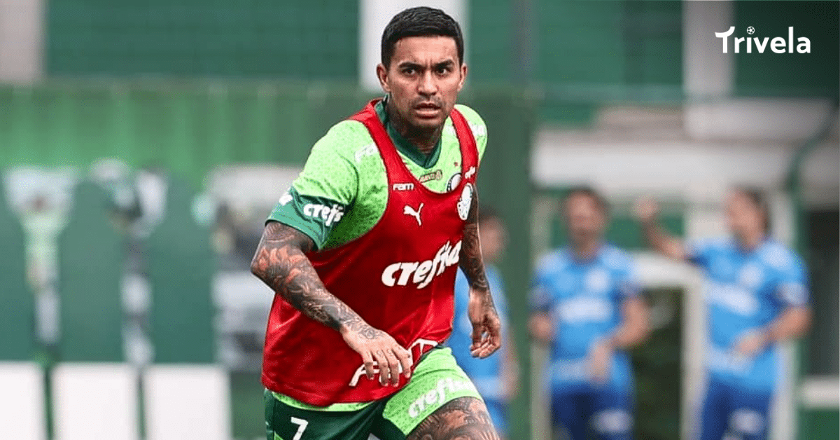 Após postagens de Dudu e Cruzeiro, Palmeiras define posição final sobre ...